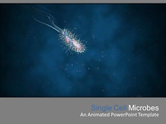 Animated Microbes Template For PowerPoint Presentations | PowerPoint ...